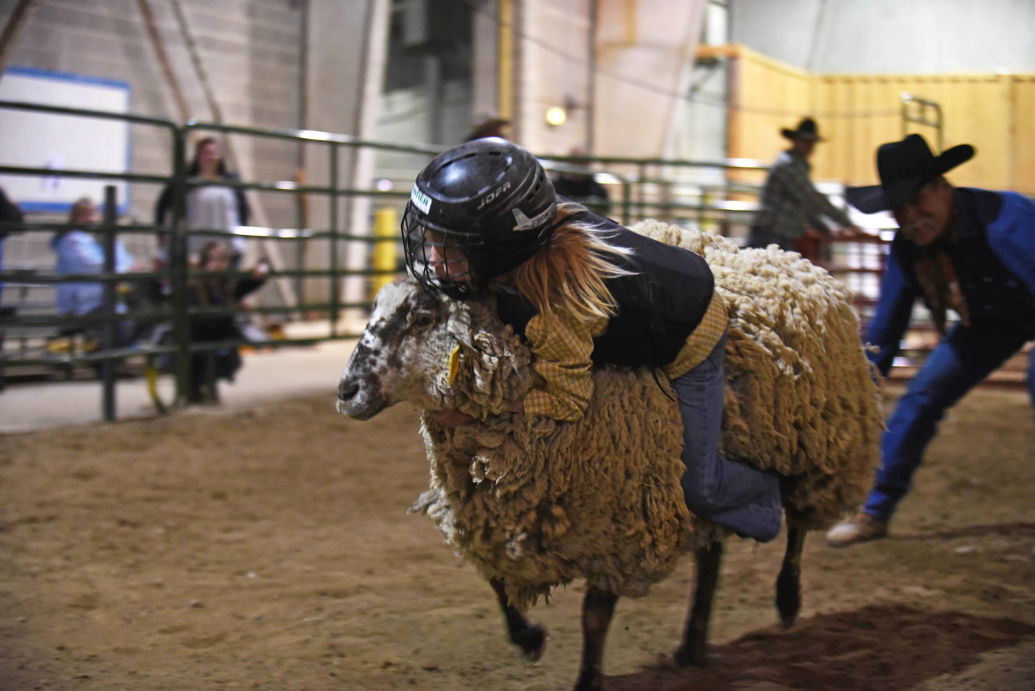 mutton bustin’ | Rodeo All-Star