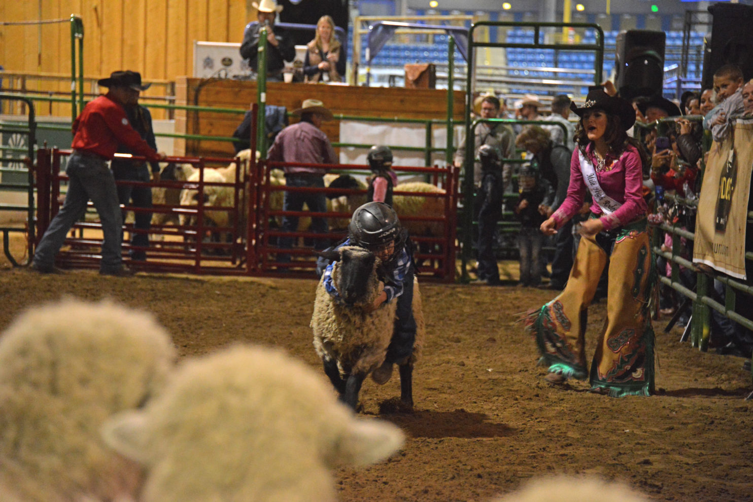mutton bustin’ | Rodeo All-Star