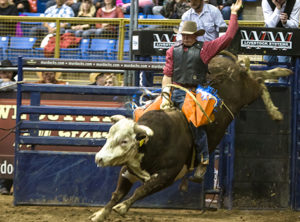 rodeo | Rodeo All-Star